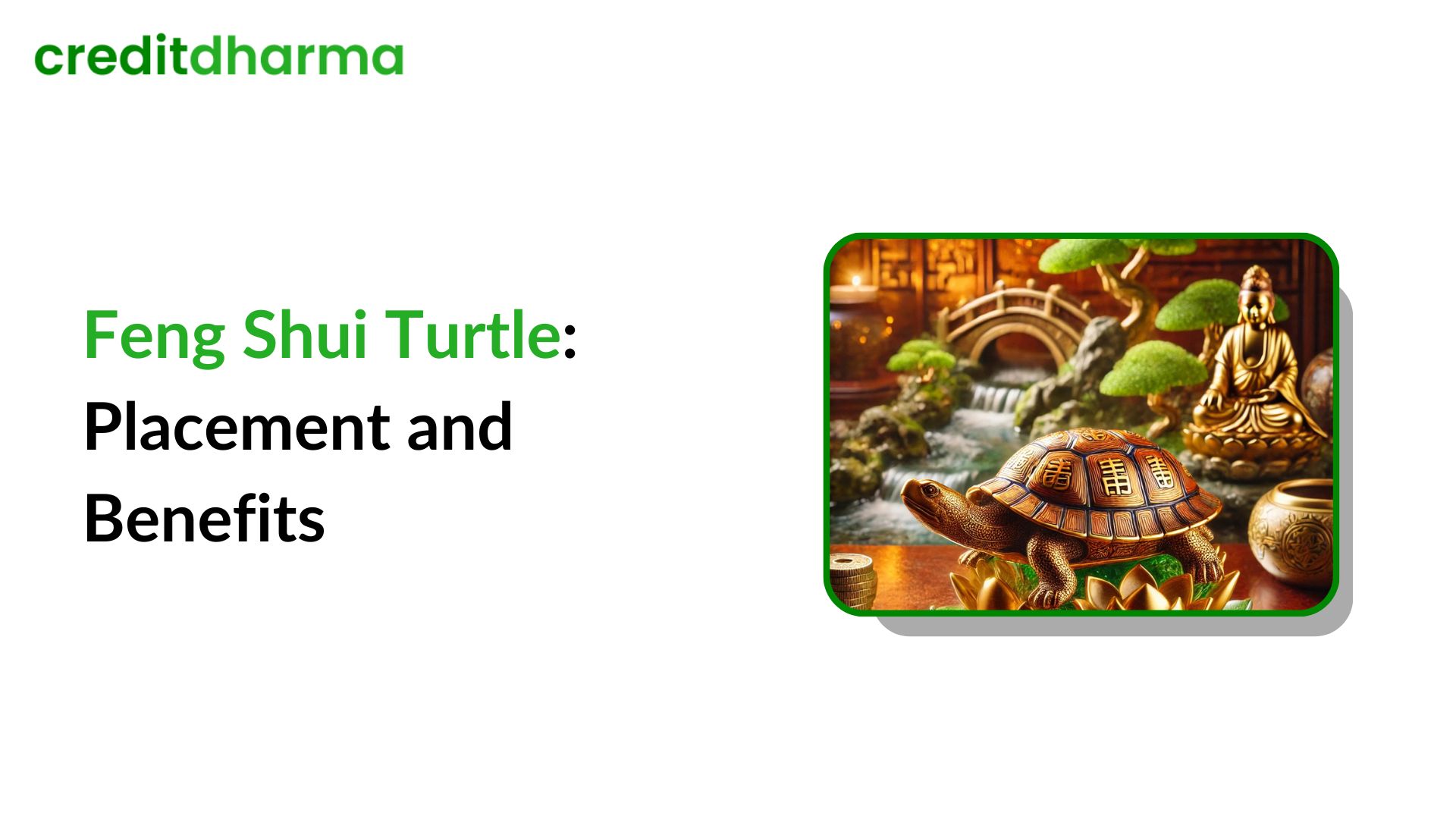 Feng Shui Turtle Placement for Protection and Prosperity